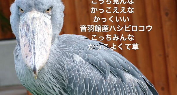 hashibiro_5 | ニコニコニュース オリジナル