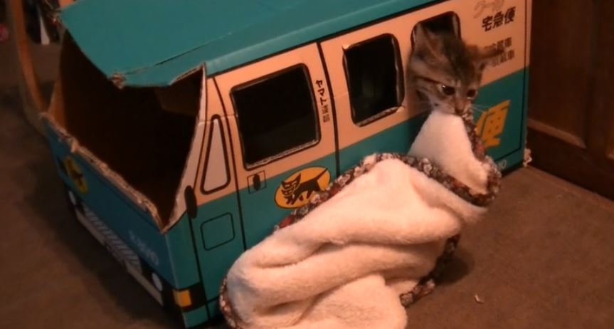 cat0 | ニコニコニュース オリジナル