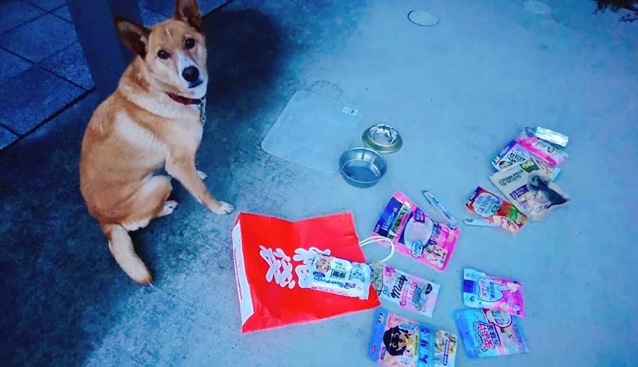 Dog0 | ニコニコニュース オリジナル