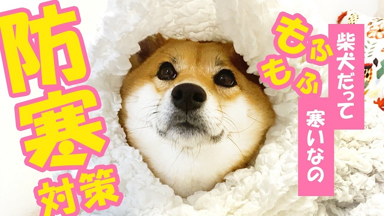 Dog0 | ニコニコニュース オリジナル