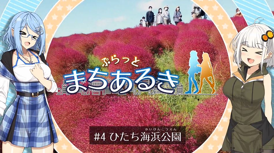 “モフモフの紅葉”を見に「ひたち海浜公園」へ！ 一面に広がる真っ赤なコキアやコスモスの向こうの海など絶景が素晴らしい | ニコニコニュース オリジナル